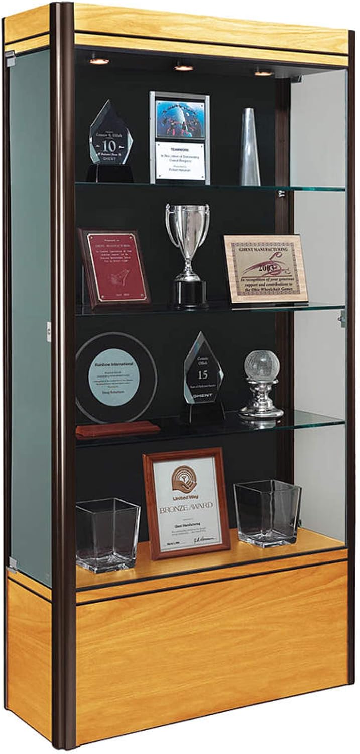 Amazon.com: Contempo Series Lighted Floor Display Case Frame Color ...