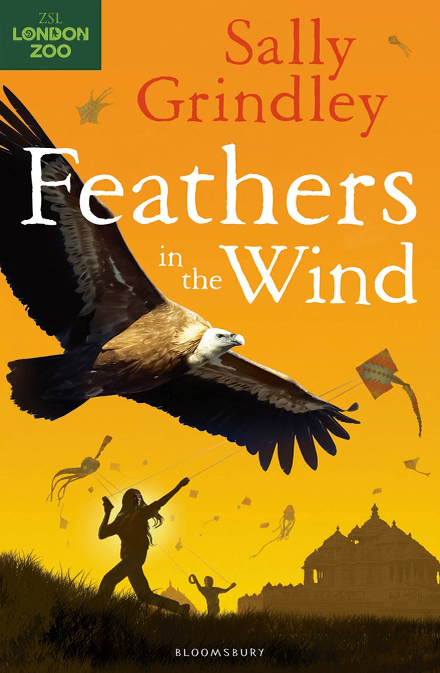 Feathers in the Wind: Grindley, Sally: 9781408819470: Amazon.com: Books