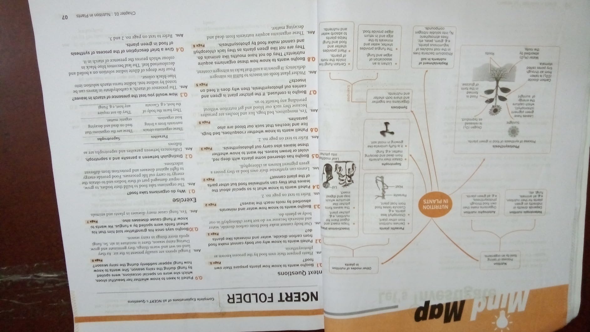 All In Science Class 7 Based On Latest NCERT For CBSE Exams 2025 | Mind ...