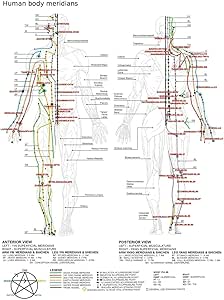Human Body Meridians Poster Print Home Decor Art Wall Decor Metal Sign ...