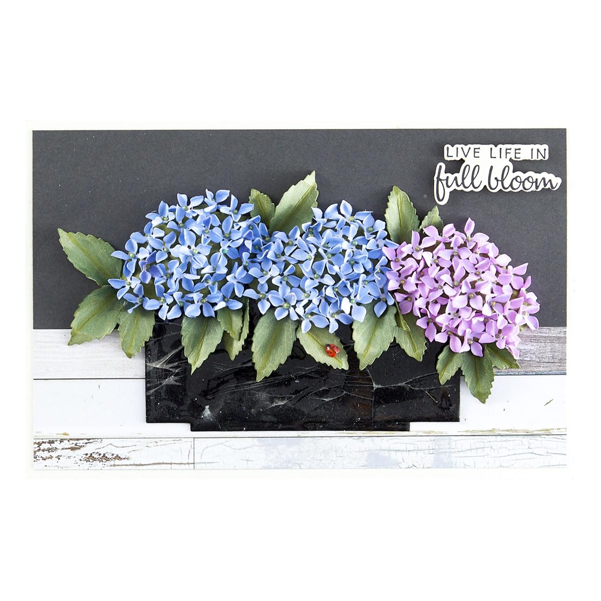 Spellbinders S4-1347 Hydrangea Etched Dies from The Nature’s Botanical ...