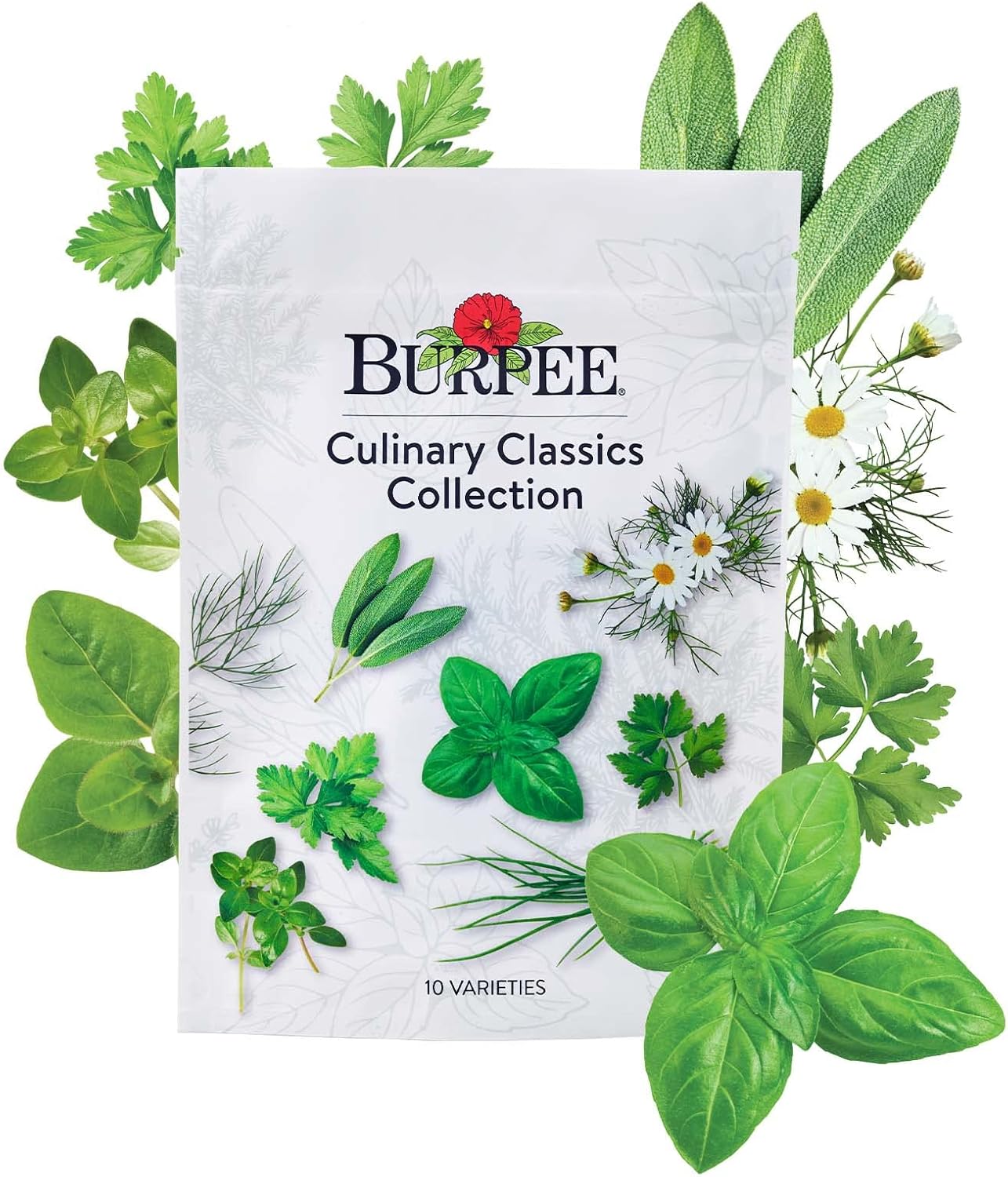 Amazon.com: Burpee Culinary Classics Garden Collection 10 Packets of ...