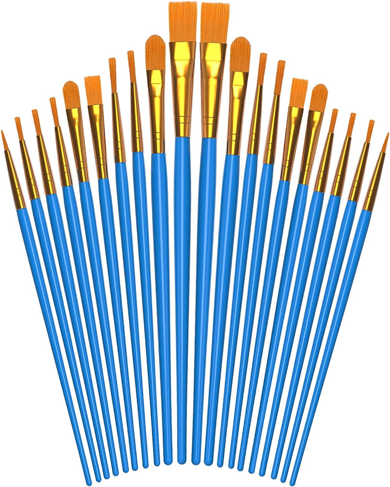 Amazon.com: Halobios Paint Brushes Set for Acrylic Painting, 20 Pcs Art ...