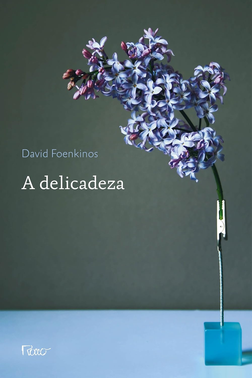 Amazon.com: Delicadeza (Em Portugues do Brasil): 9788532526304: David ...