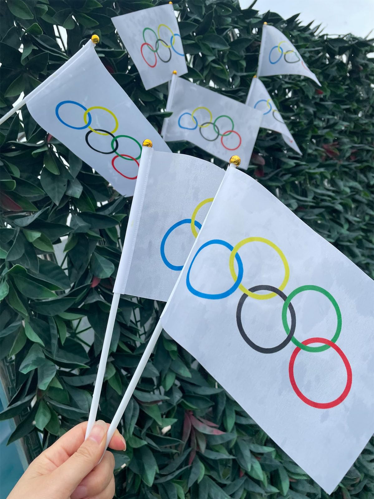 Snapklik.com : Olympic Hand Flags20Pcs Small Olympic Rings,5x8 Inch ...