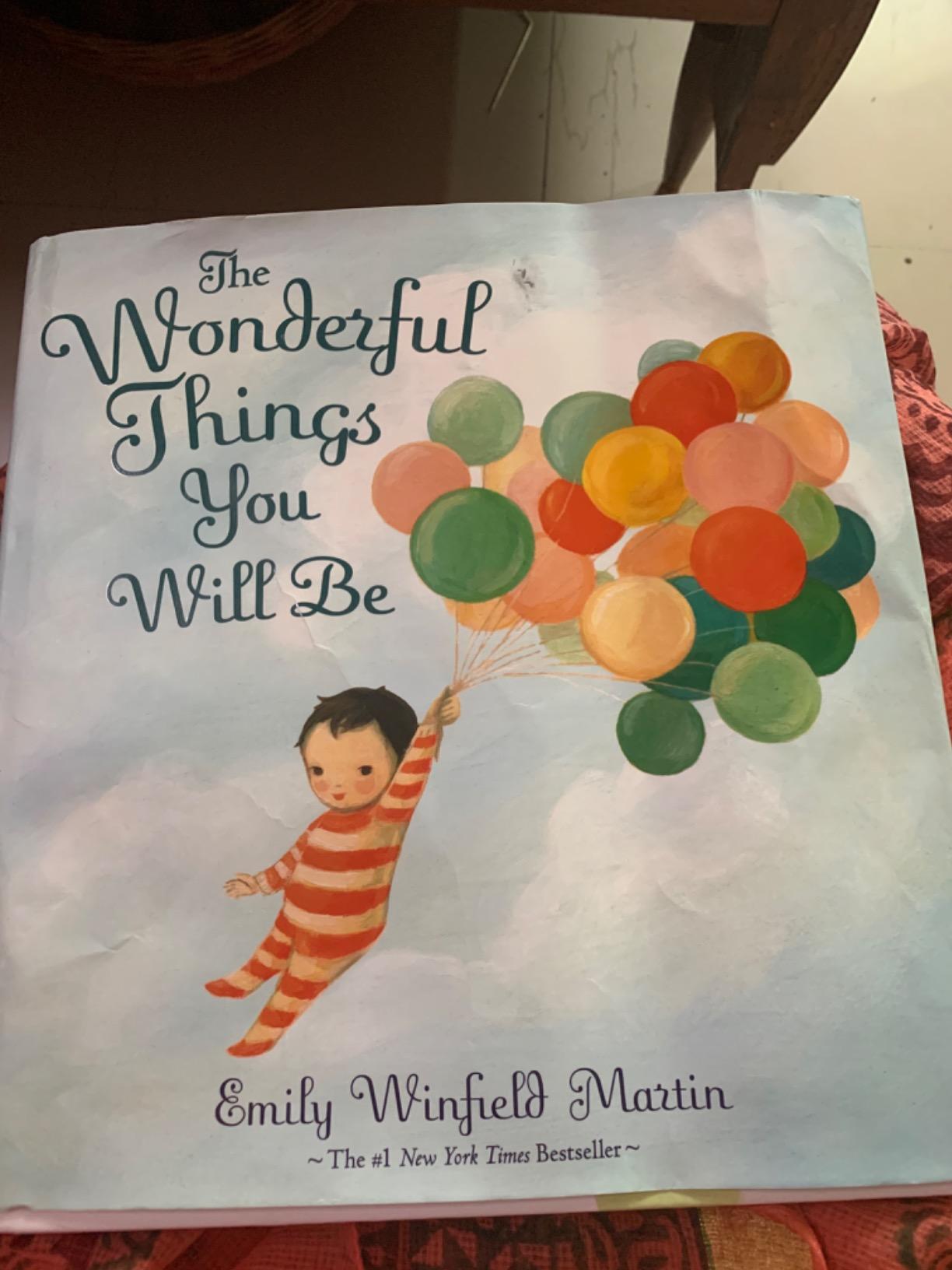 The Wonderful Things You Will Be : Winfield Martin, Emily: Amazon.in: Books