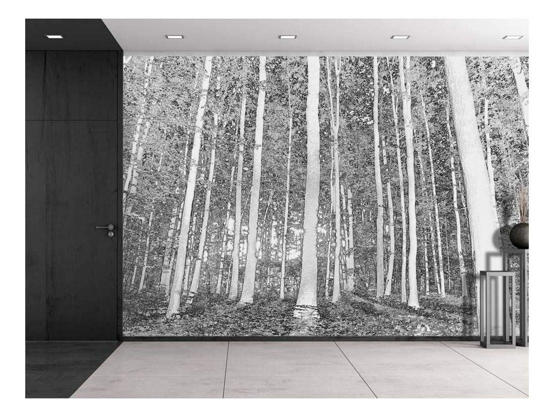 wall26 - Black Outlined Trees on a Forest - Wall Mural, Removable ...