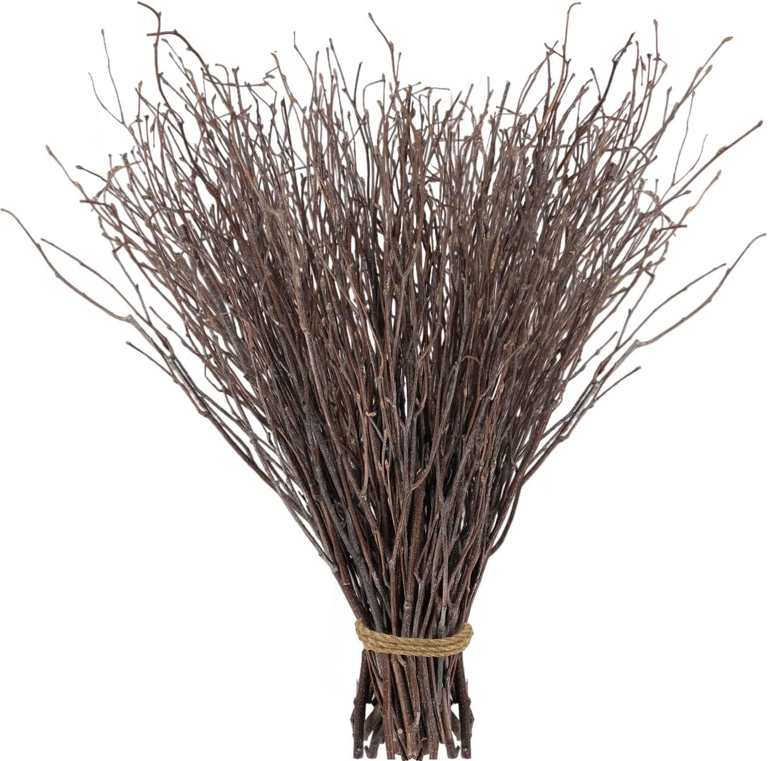 Amazon.com: 40Pcs Real Dried Birch Twigs - 17" Natural Decorative Birch ...