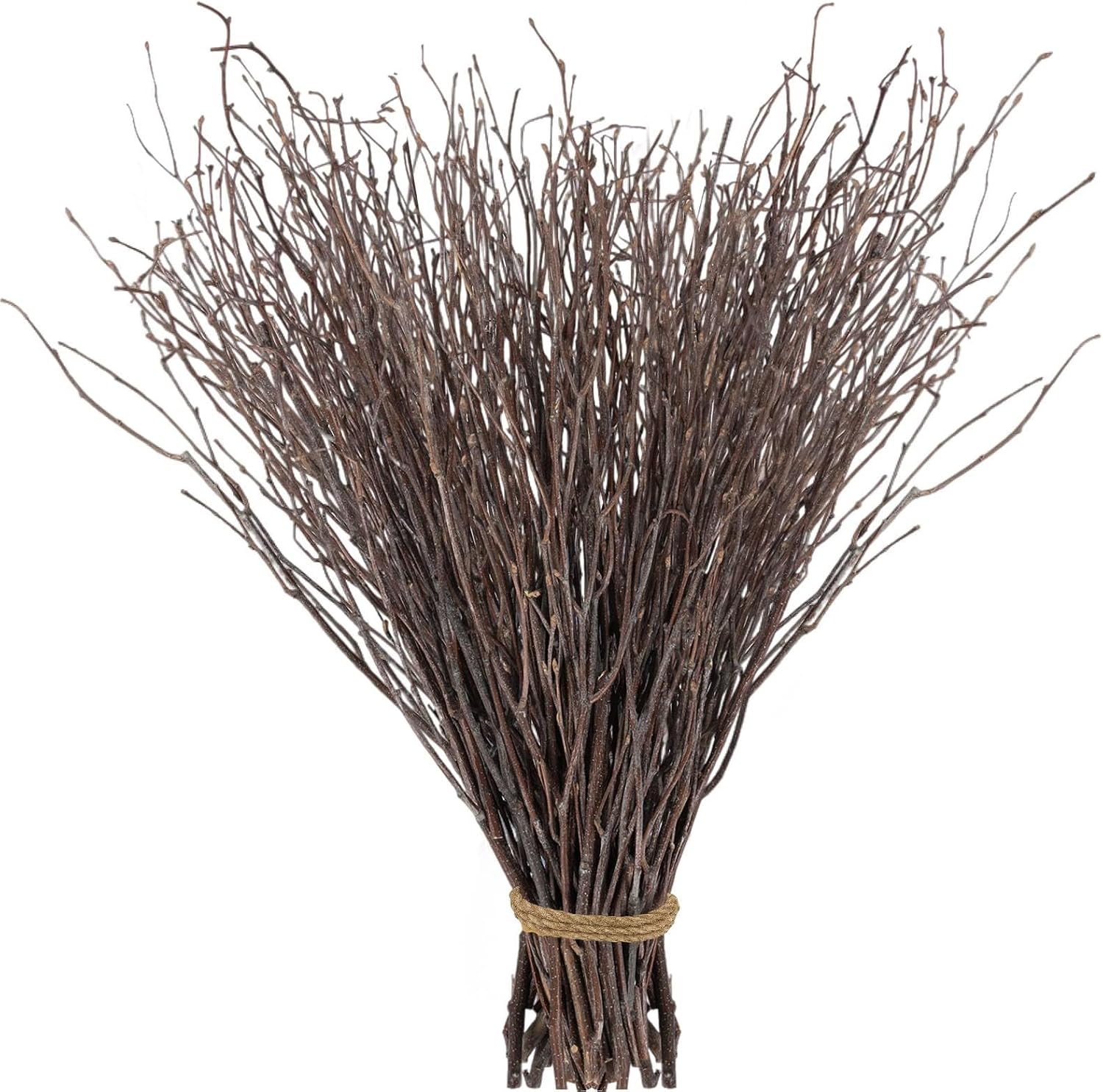 Amazon.com: 60Pcs Real Dried Birch Twigs Branches - 17” Natural ...