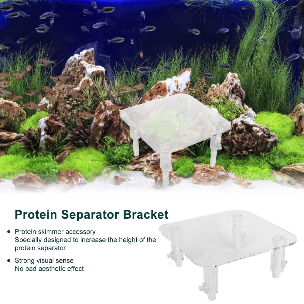 Snapklik.com : Protein Skimmer Stand, Clear Protein Separator Bracket ...