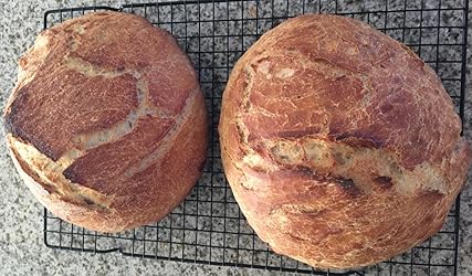 Amazon.com: SuperStone / 9" x 8" Bread Dome Baker: Bread Tubes: Home ...