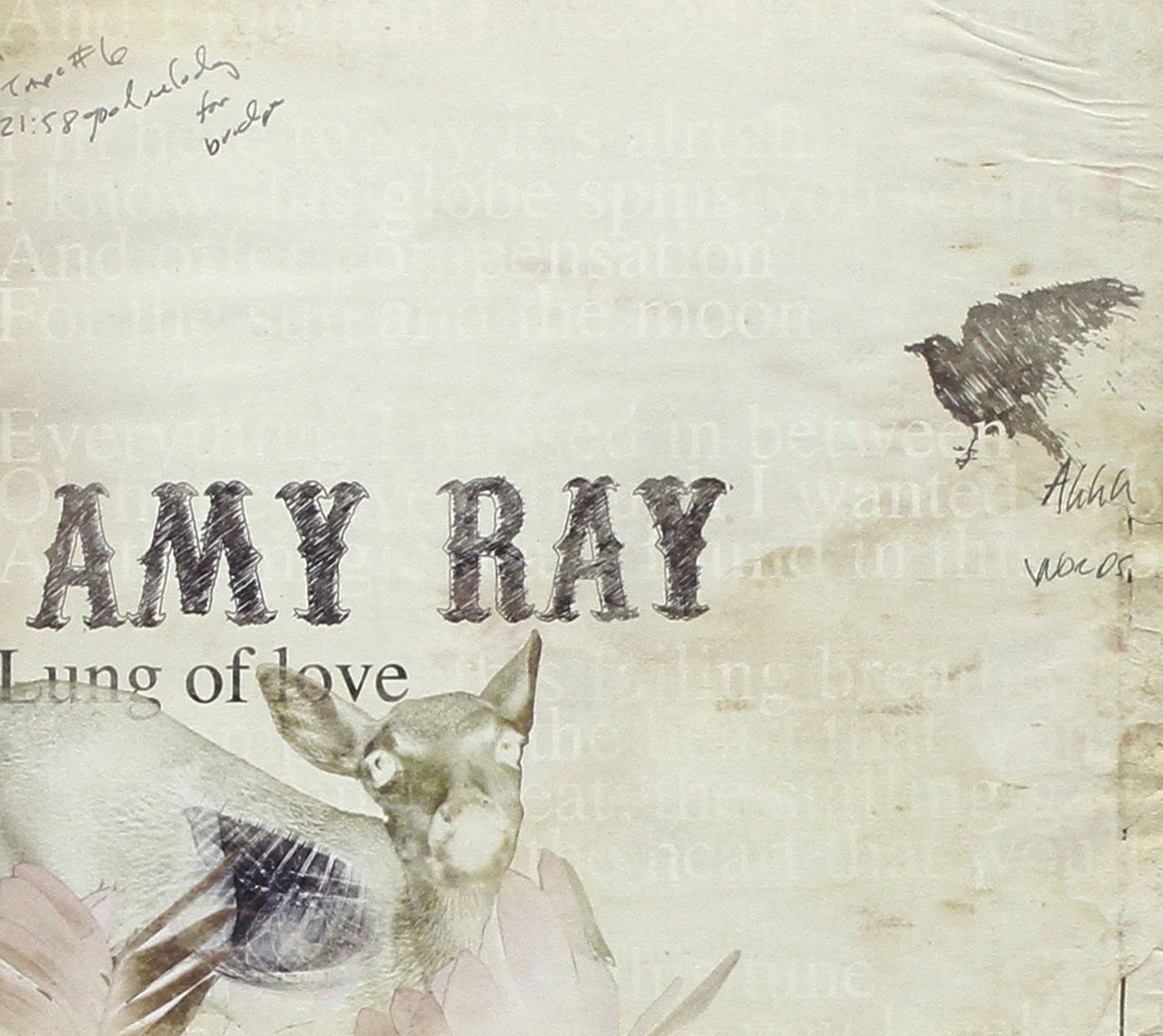 Amy Ray - Lung Of Love - Amazon.com Music