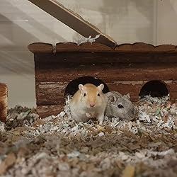 Megazorb Animal Bedding 85 Litres : Amazon.co.uk: Pet Supplies