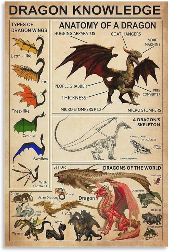 Amazon.com: Dragon Knowledge Poster, Dragons Of The World, Types Of ...