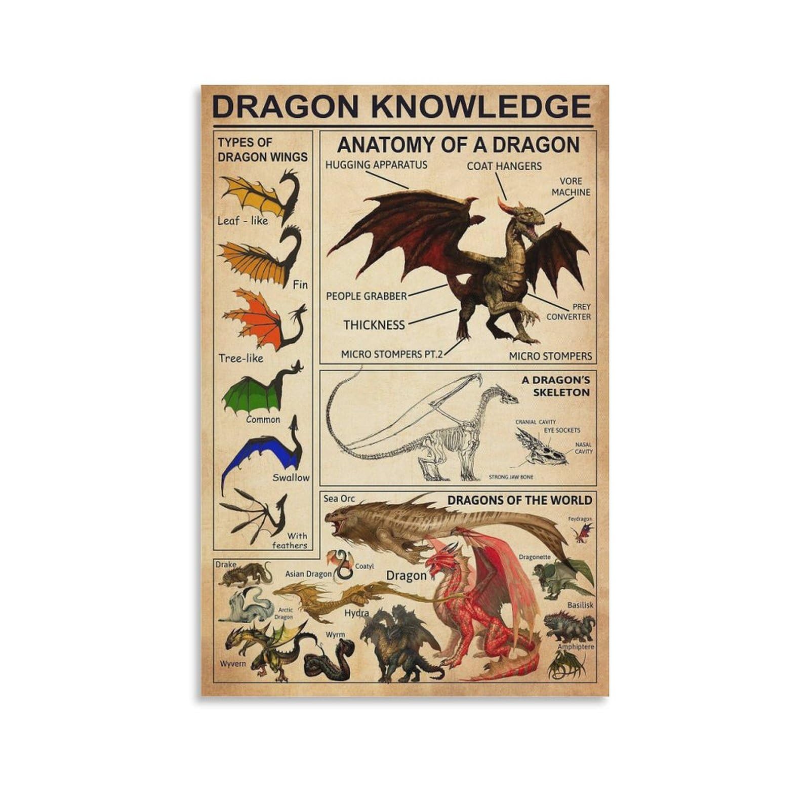 Amazon.com: Dragon Knowledge Poster, Dragons Of The World, Types Of ...