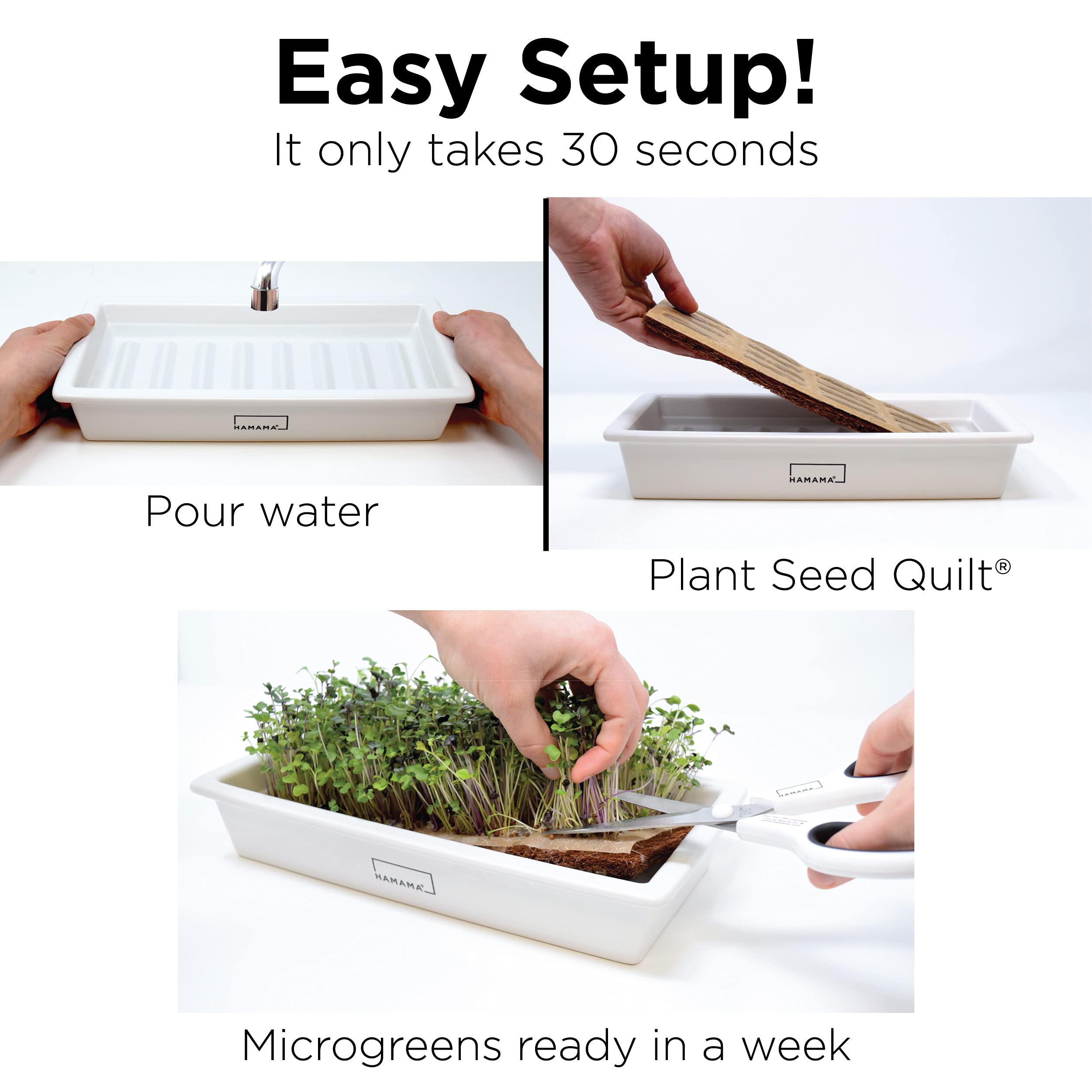 hamama greens kit, hamama microgreens – NVRCQ