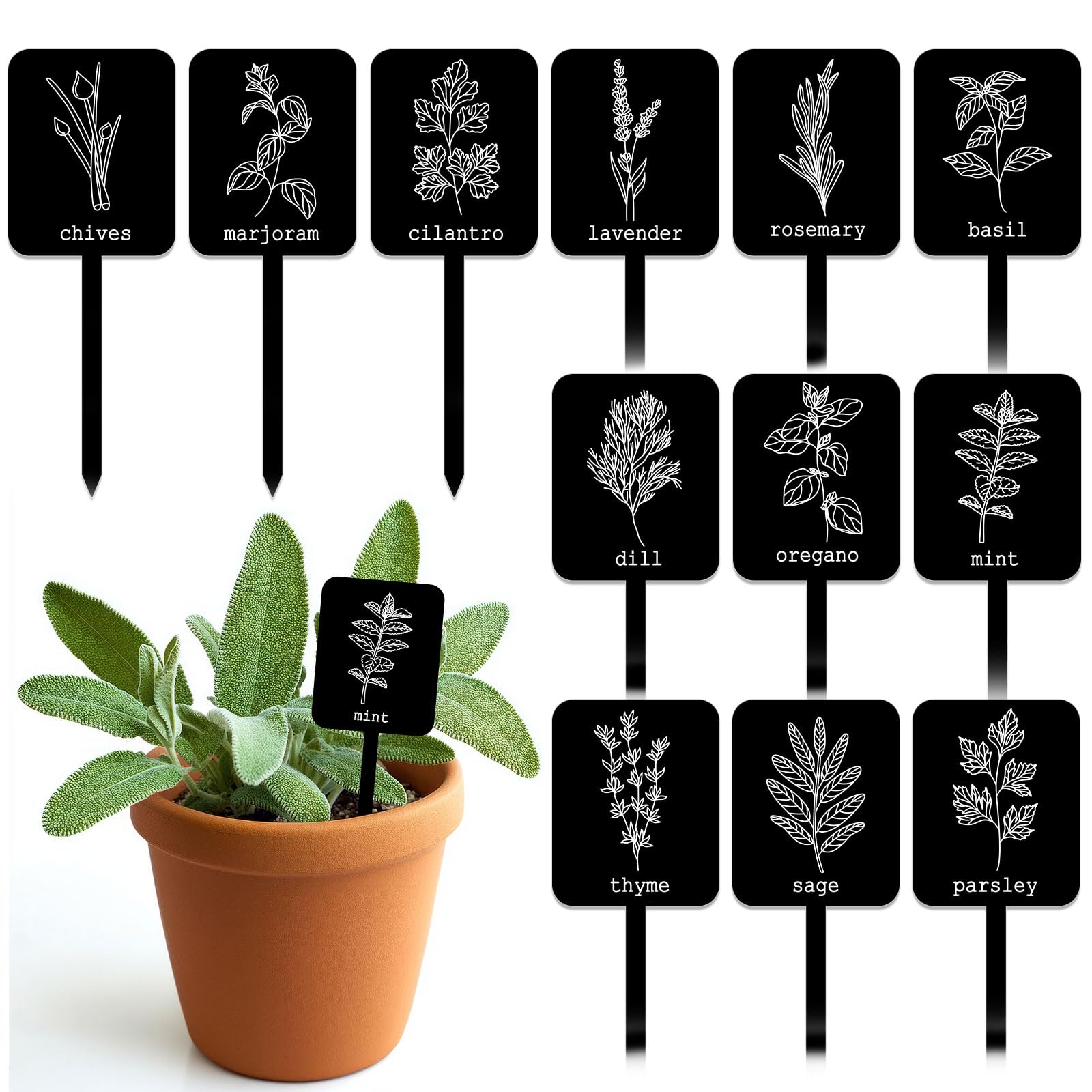Plant Labels Black