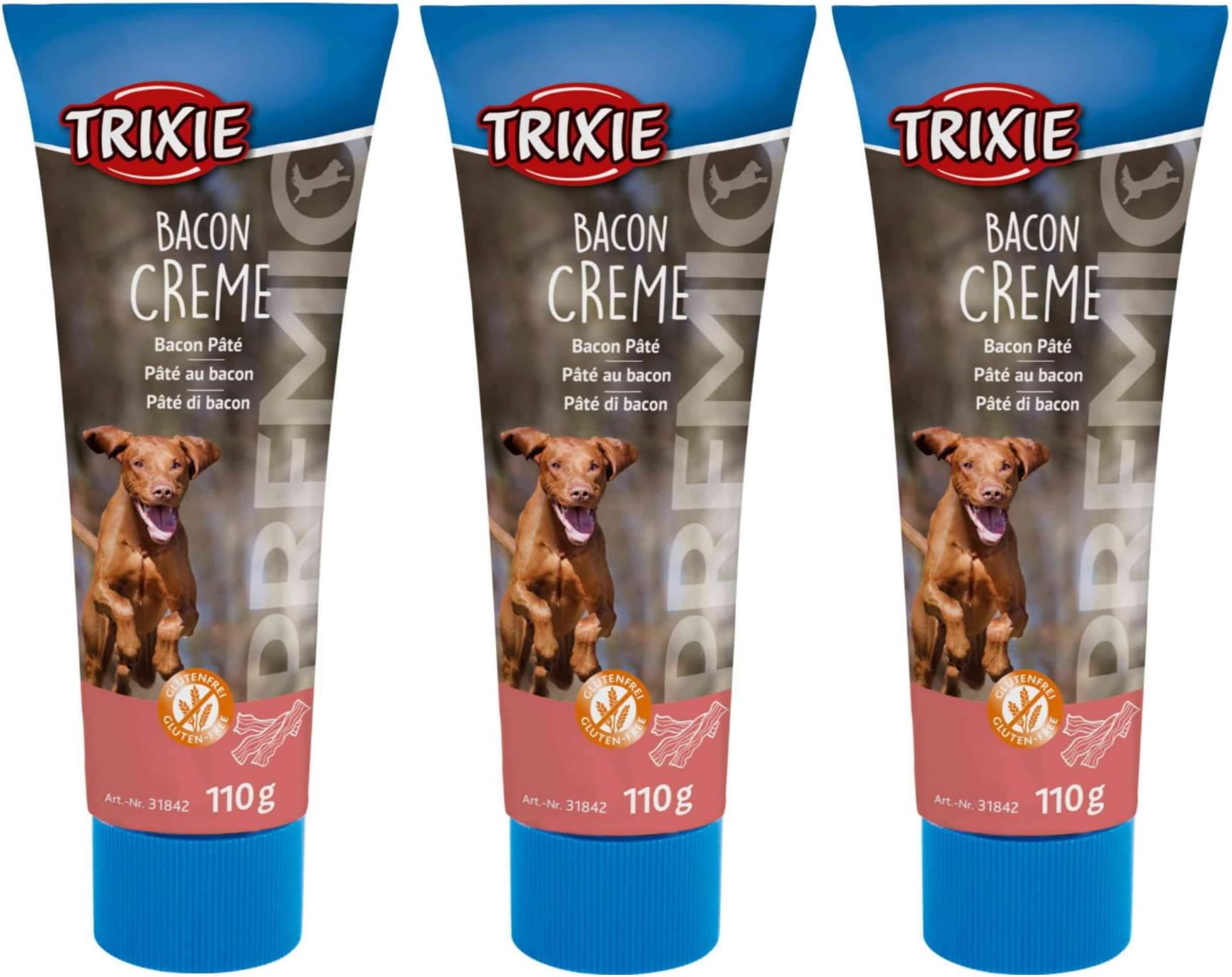 KONG - Easy Treat - Dog Treat Paste - 8 ounce - Cheddar Cheese : Amazon ...