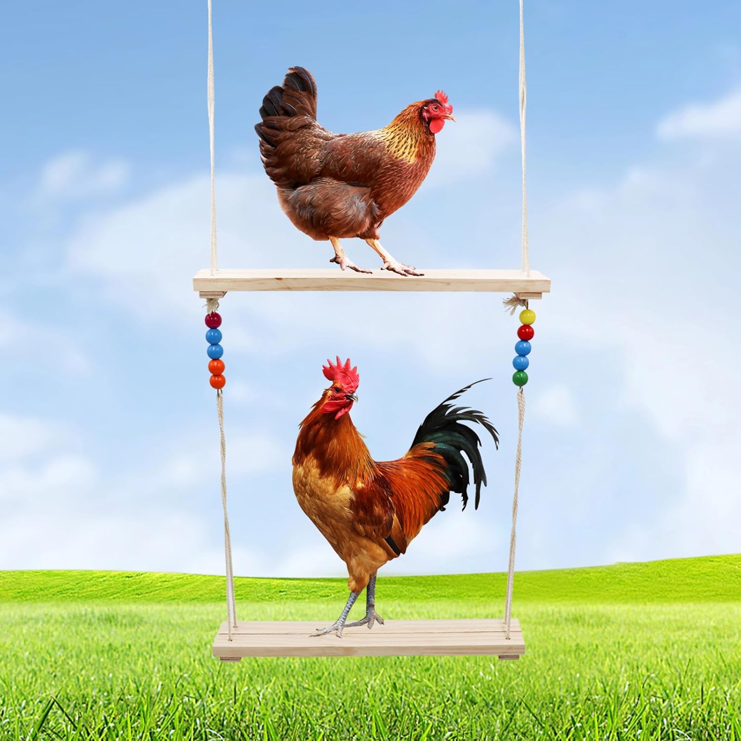 Amazon.com: Jinkoozz Double Layer Chicken Swing Toy for Coop, Natural ...