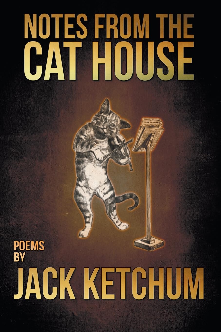 Notes from the Cat House: Amazon.co.uk: Ketchum, Jack: 9781941408100: Books