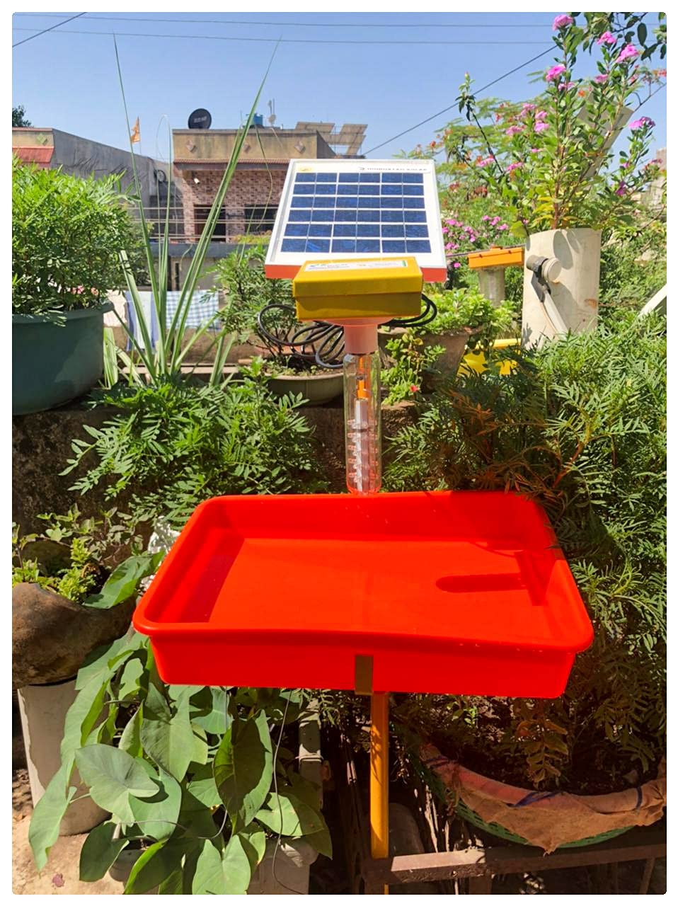 Super Solar Automatic Insect Trap for Farm, Gardens & Outdoor : Amazon ...