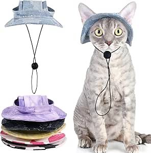 Amazon.com : QBLEEV Cat Hats for Cats Only, Sphynx Hat with Ear Hole ...