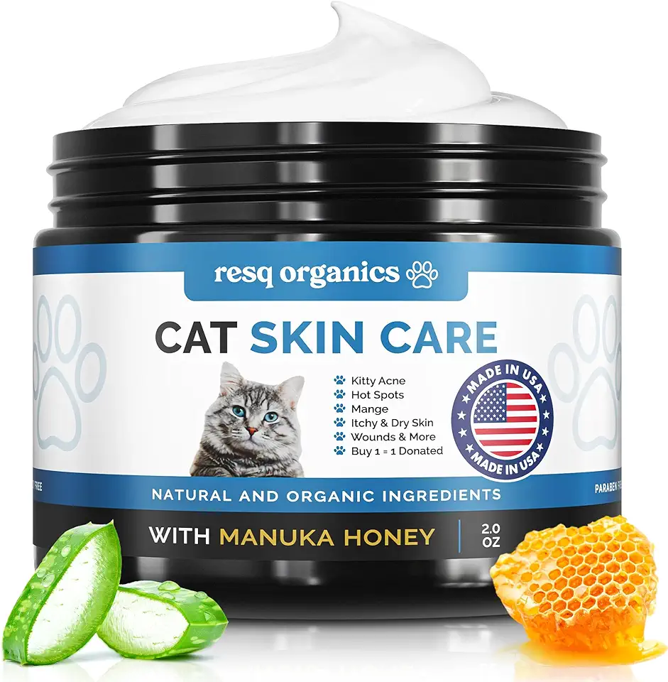 Cat Claw Punctures: A Danger For Human Skin | PetShun