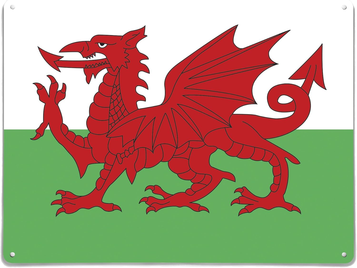 Amazon.com: The Metal Art Company 75 x 55 cm Welsh Flag Stove Enameled ...