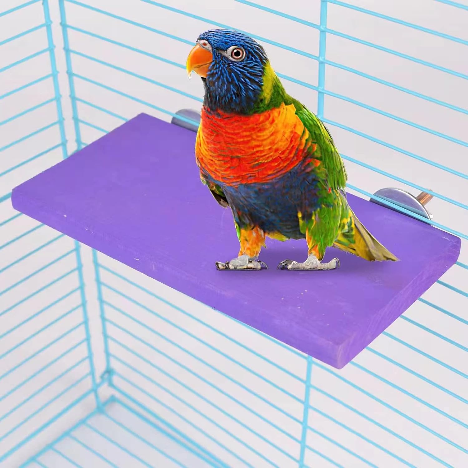 Bird Perch Platform 3 Pack, 100% Natural Wood Waterproof Bird Perch ...