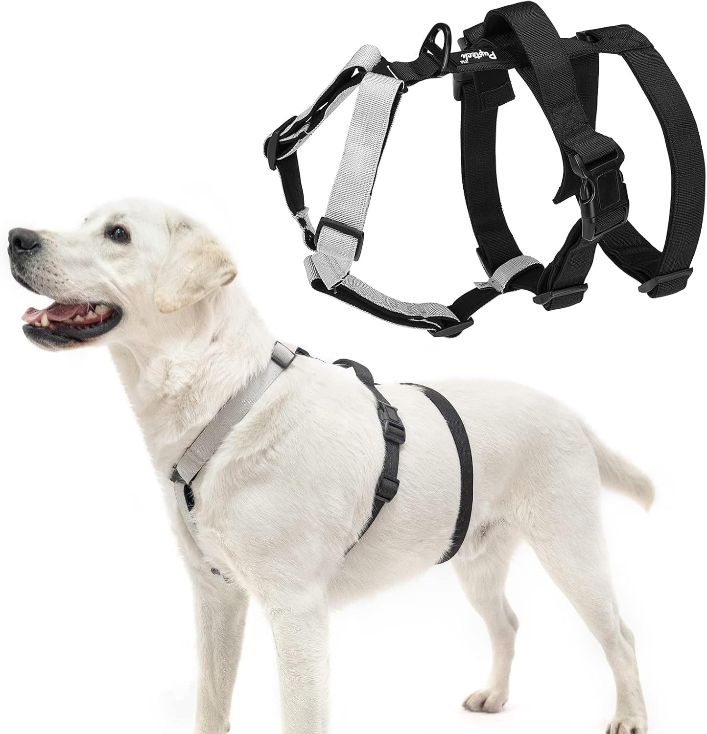 Amazon.com : PUPTECK Escape Proof Dog Harness - No Pull Soft Padded ...
