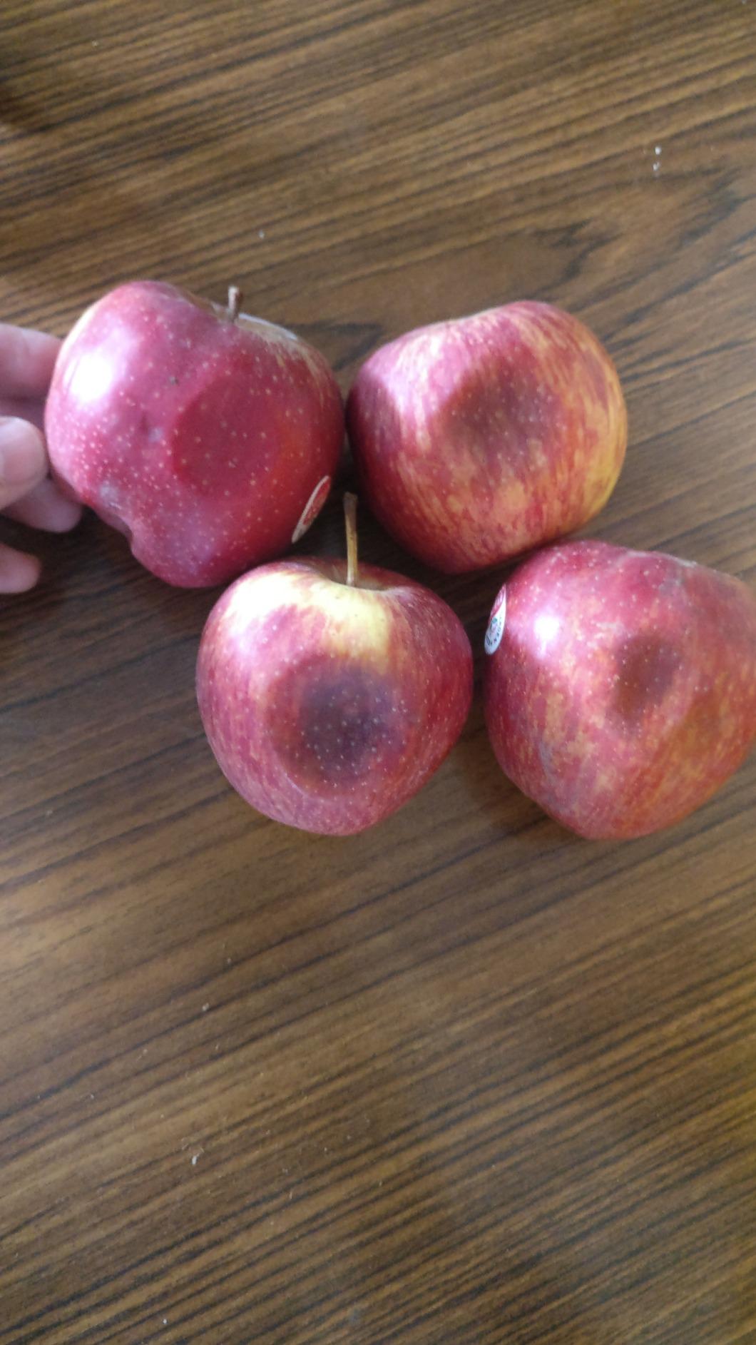 Adani Himachal Apples