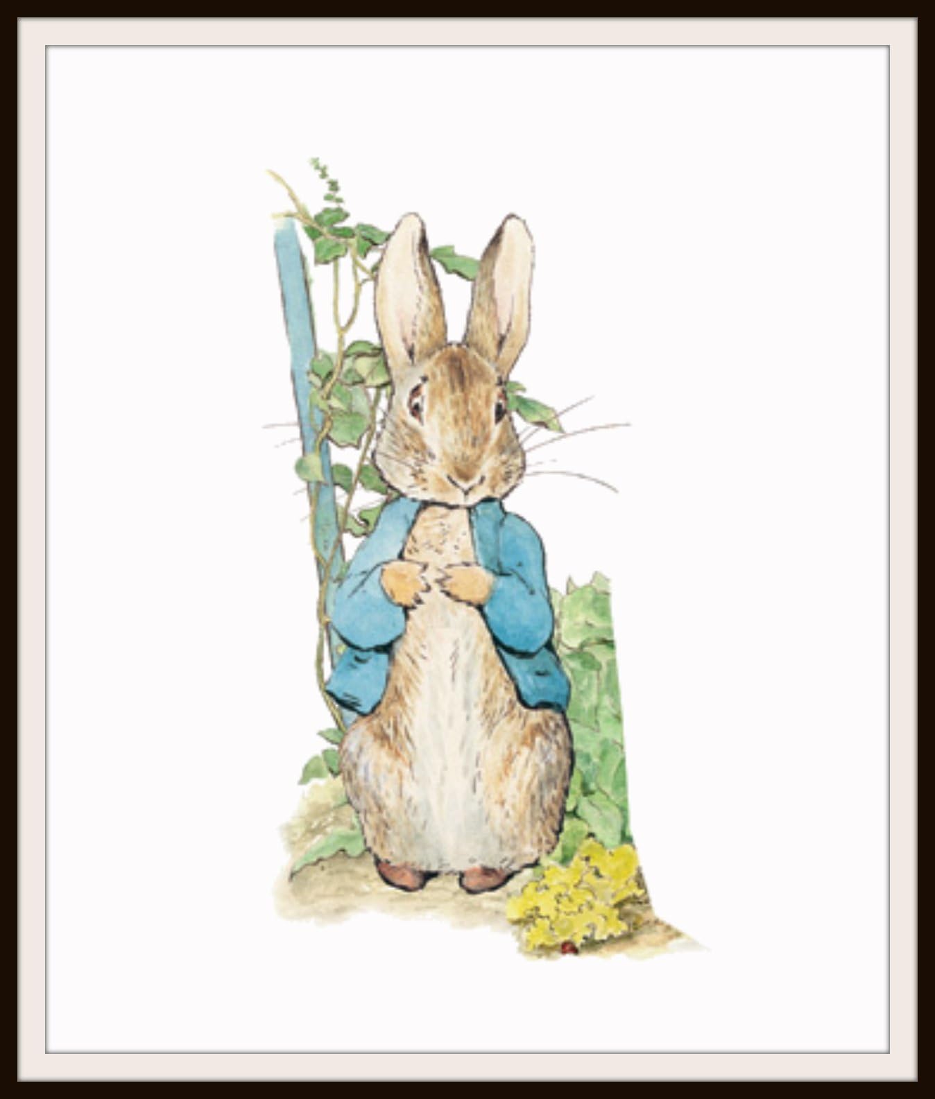 Amazon.com: Beatrix Potter Peter Rabbit, Vintage Art Print Reproduction ...