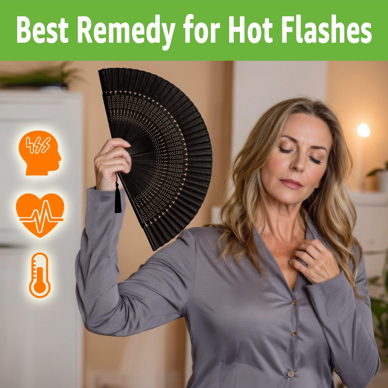 Snapklik.com : Zolee Small Folding Hand Fan - Chinese Japanese Vintage ...