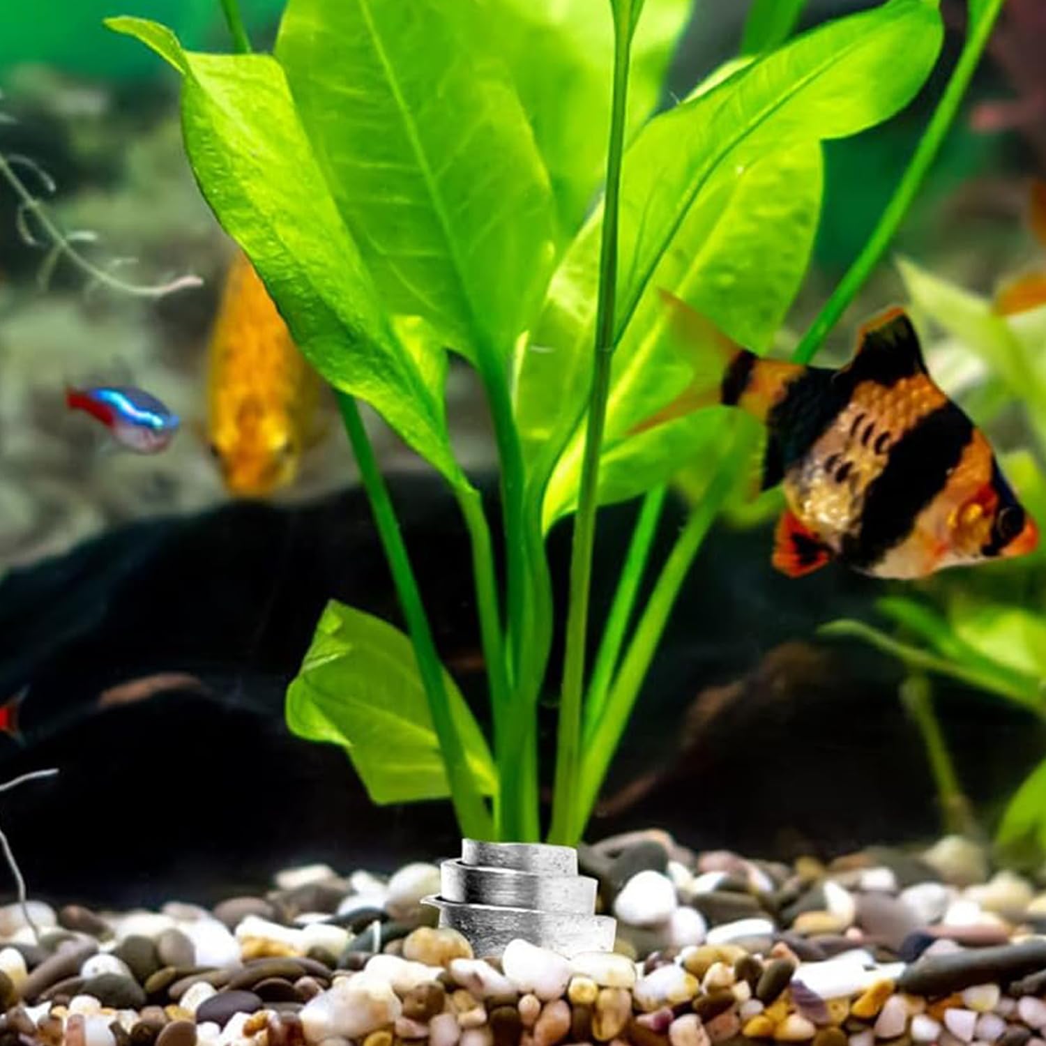 DILUSILK 20 Pcs Aquarium Plant Weights Anchors Prevents Floating, Plant ...