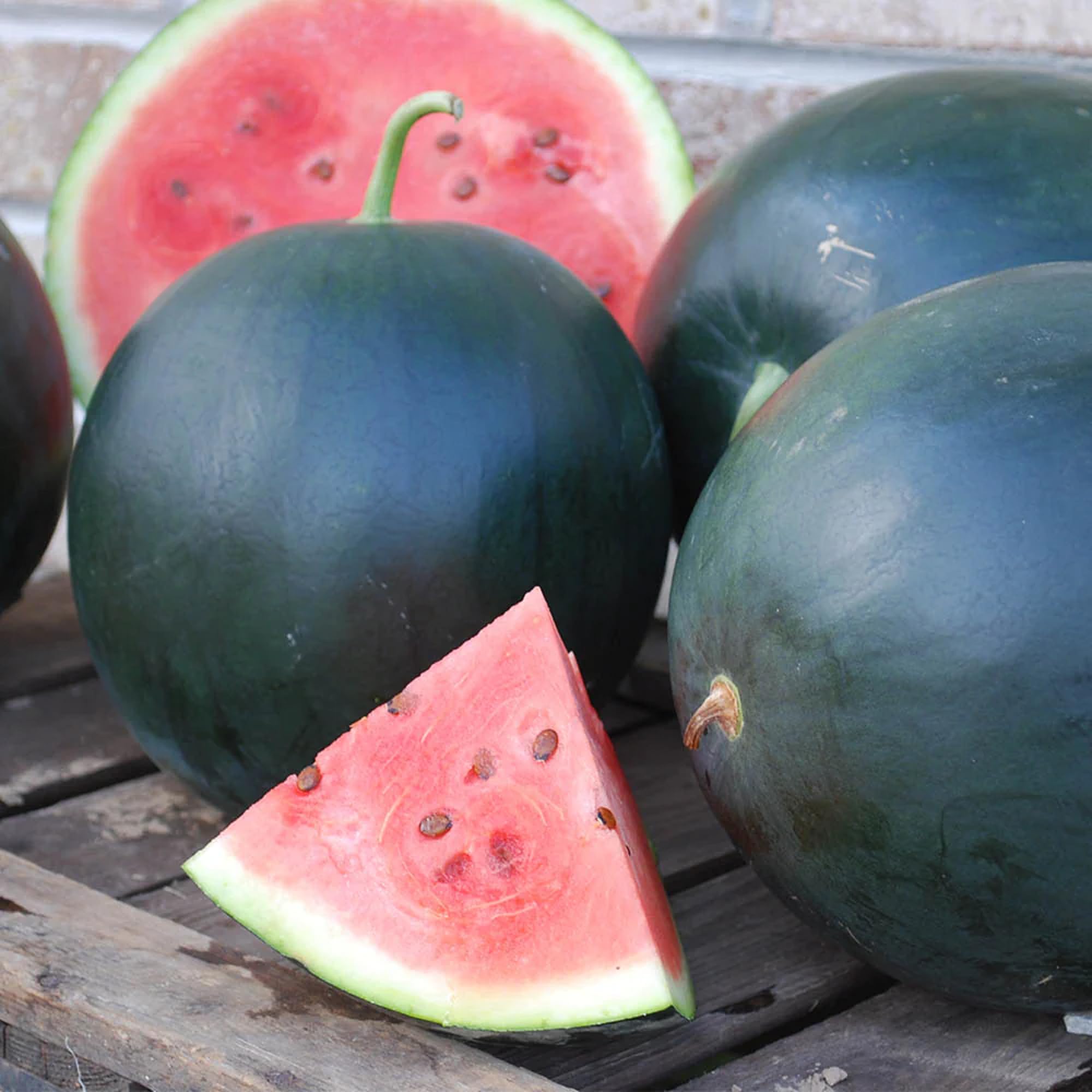 Gente Negra Sandia