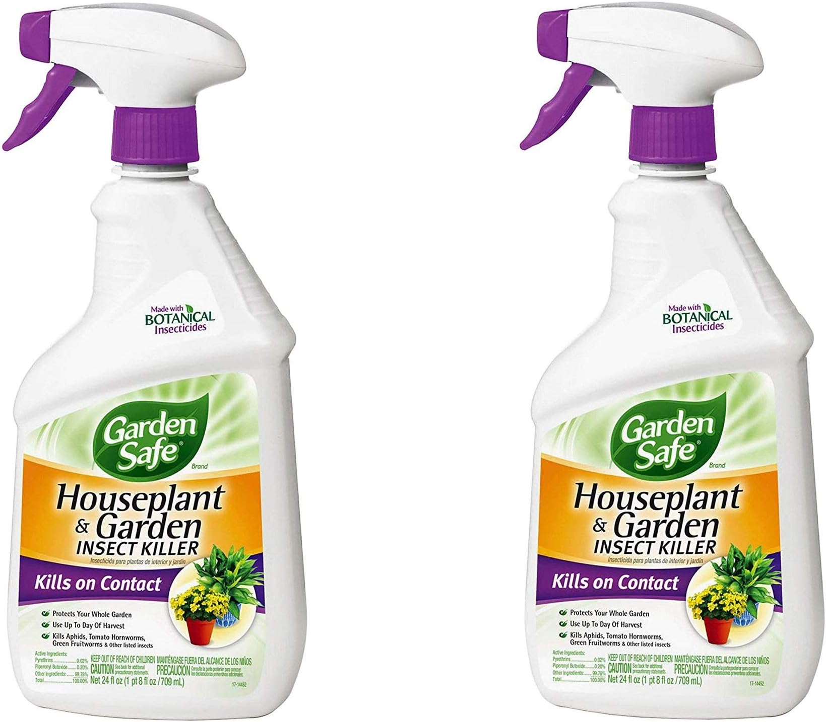 Amazon.com: Schultz Garden Safe Houseplant & Garden Insect Killer Rtu ...