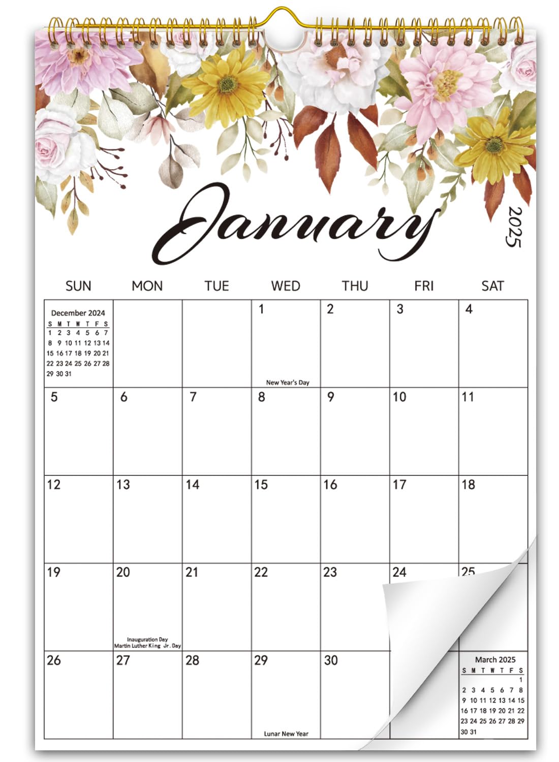 Amazon.com: Aesthetic 2024-2025 Wall Calendar - Runs From Now to June ...