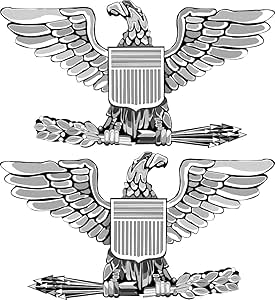 Amazon.com - Military Vet Shop US Army Colonel Rank Vinyl Window Bumper ...