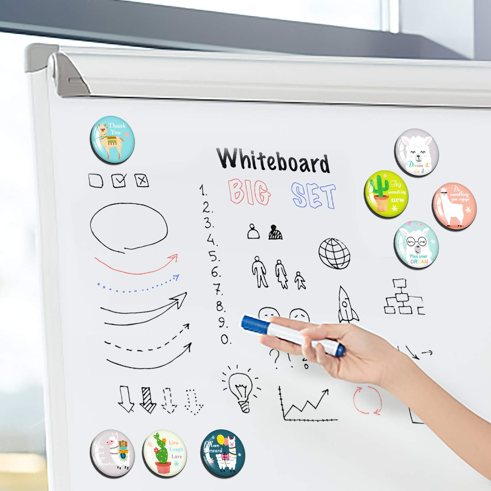 Snapklik.com : MORCART 30PCS Inspirational Magnets - Llama Cactus ...