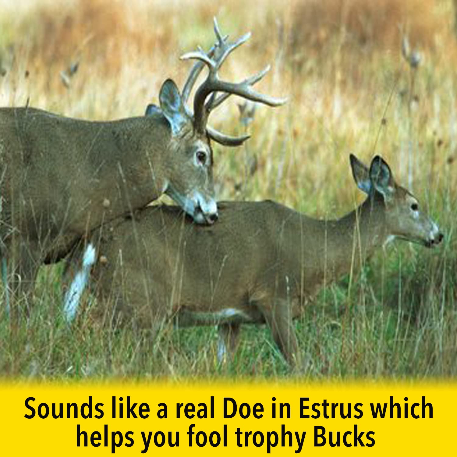 Snapklik.com : ESH Custom Calls Rattling Antlers For Deer Hunting And ...