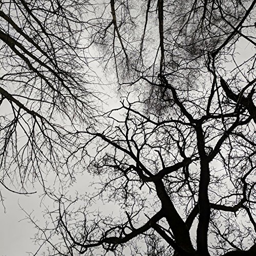 Play Victory by Bards on Amazon Music