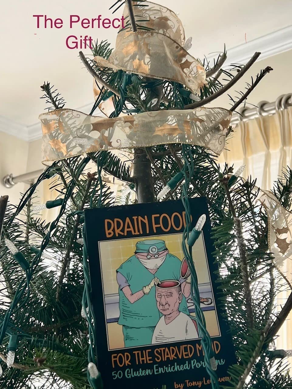 Amazon.com: Brain Food for the Starved Mind: 50 Gluten Enriched ...