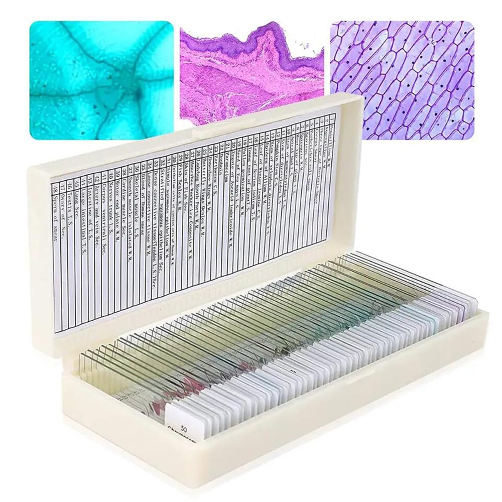 Histology Slides Human Pathology Survey Slide Set | Carolina
