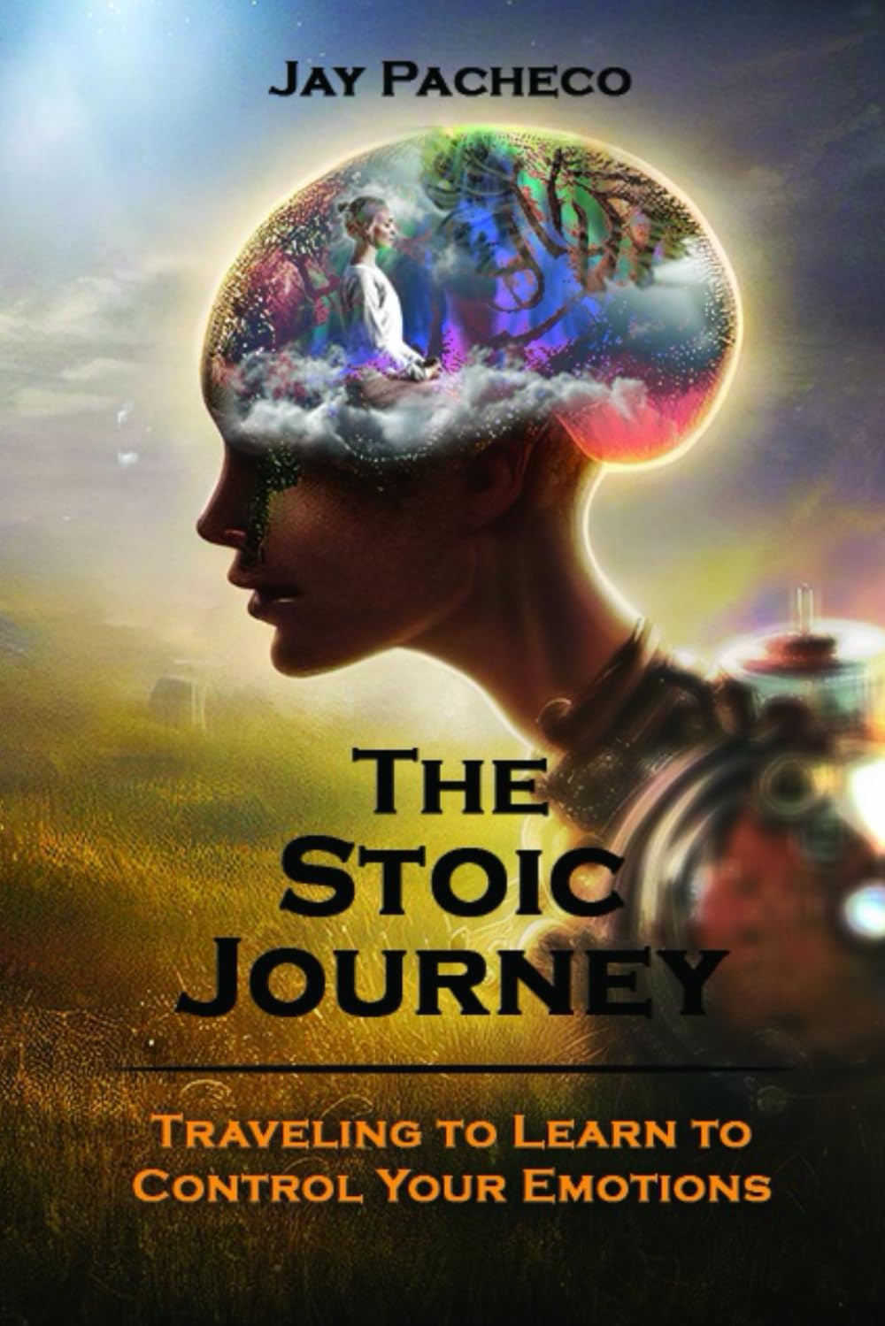 The Stoic Journey: Traveling to Learn to Control Your Emotions: Pacheco ...