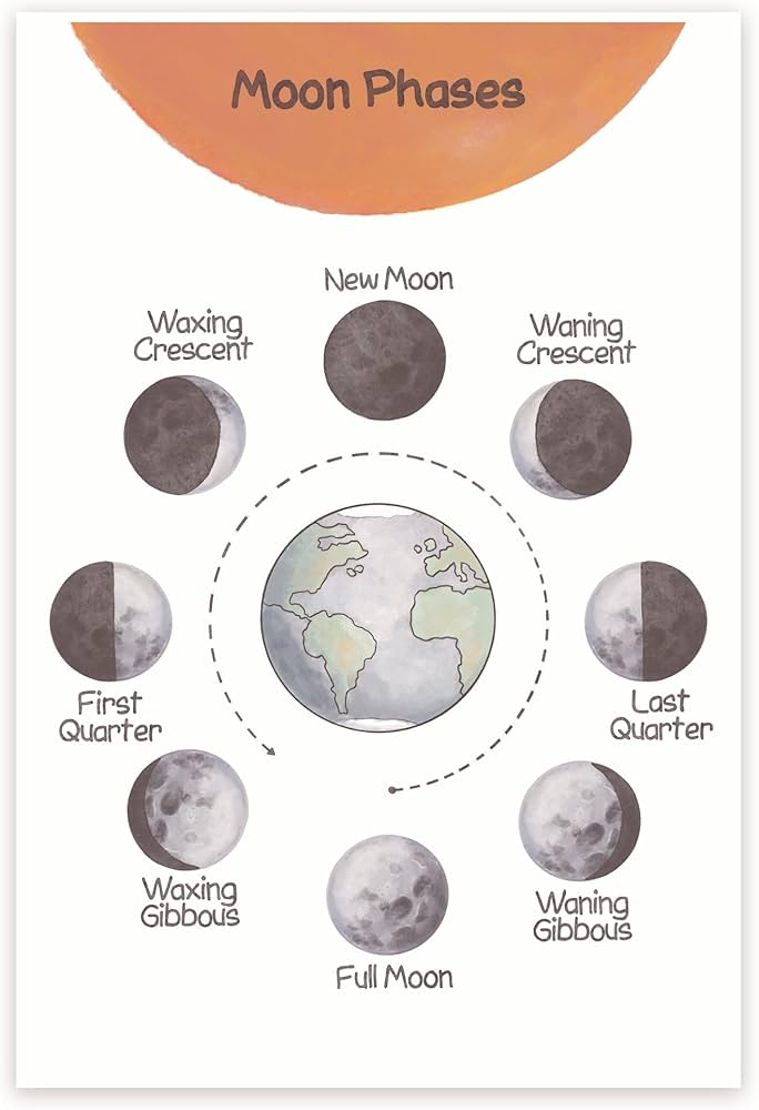 Diagram Of The Moon Phases Printable