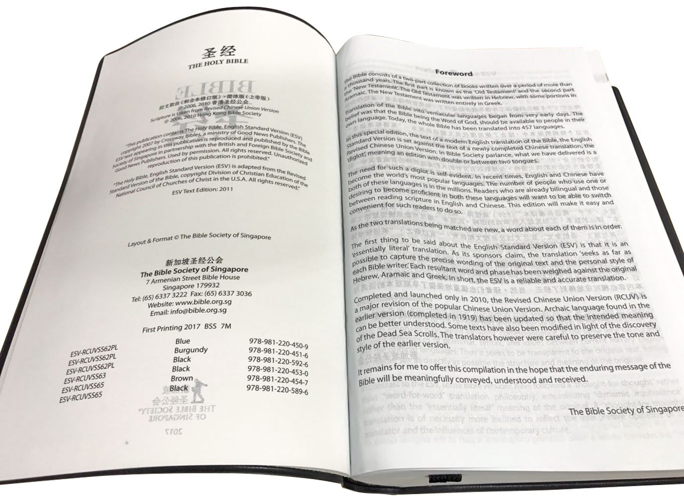 Snapklik.com : Bilingual English Chinese Holy Bible / English Standard Version - Revised Chinese ...