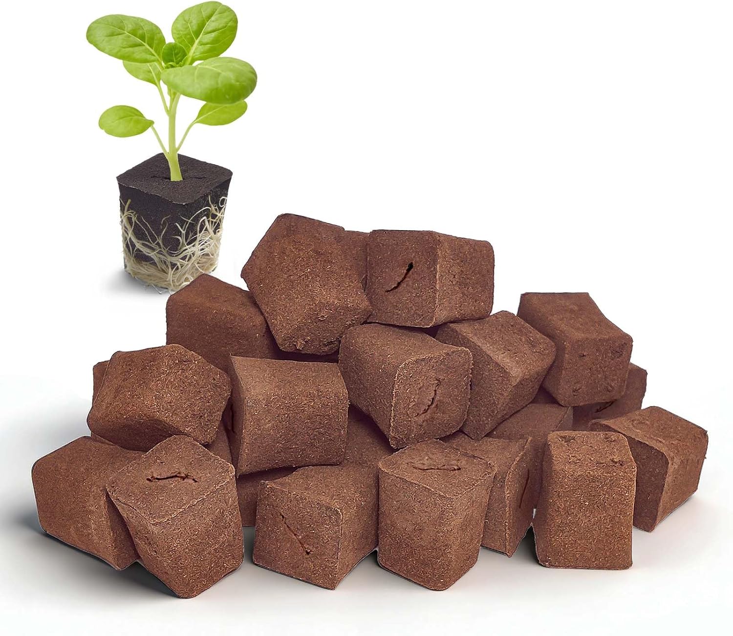 SIETAMIS 50 Packs Cuttage Grow Sponges, Pods Root Growth Sponge Eco ...
