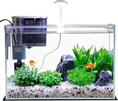 3 Gallon Glass Small Fish Tank, Betta Fish Tank Starter Kit with Filter ...