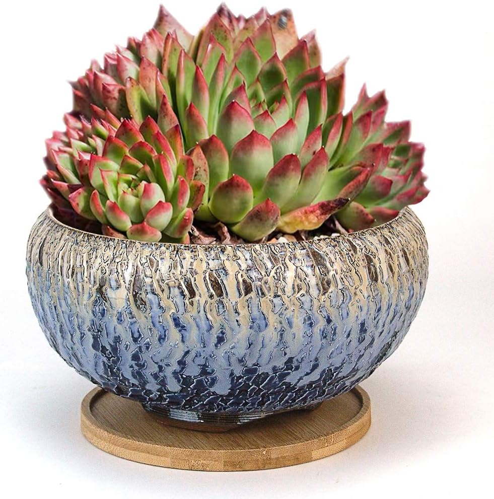 Amazon.com : Summer Impressions 8 Inch Natural Cracking Round Ceramic ...