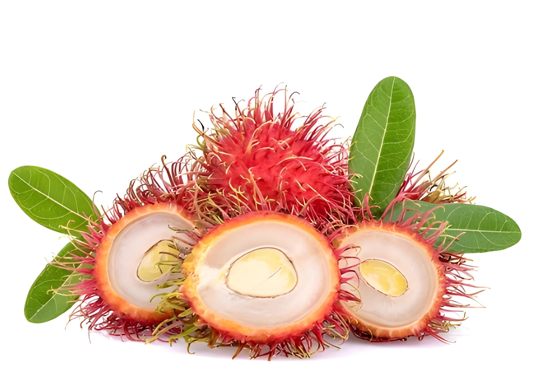 Green view Original Ram Bhutan Rambotan/Ramboetan/Ramboutan" air ...